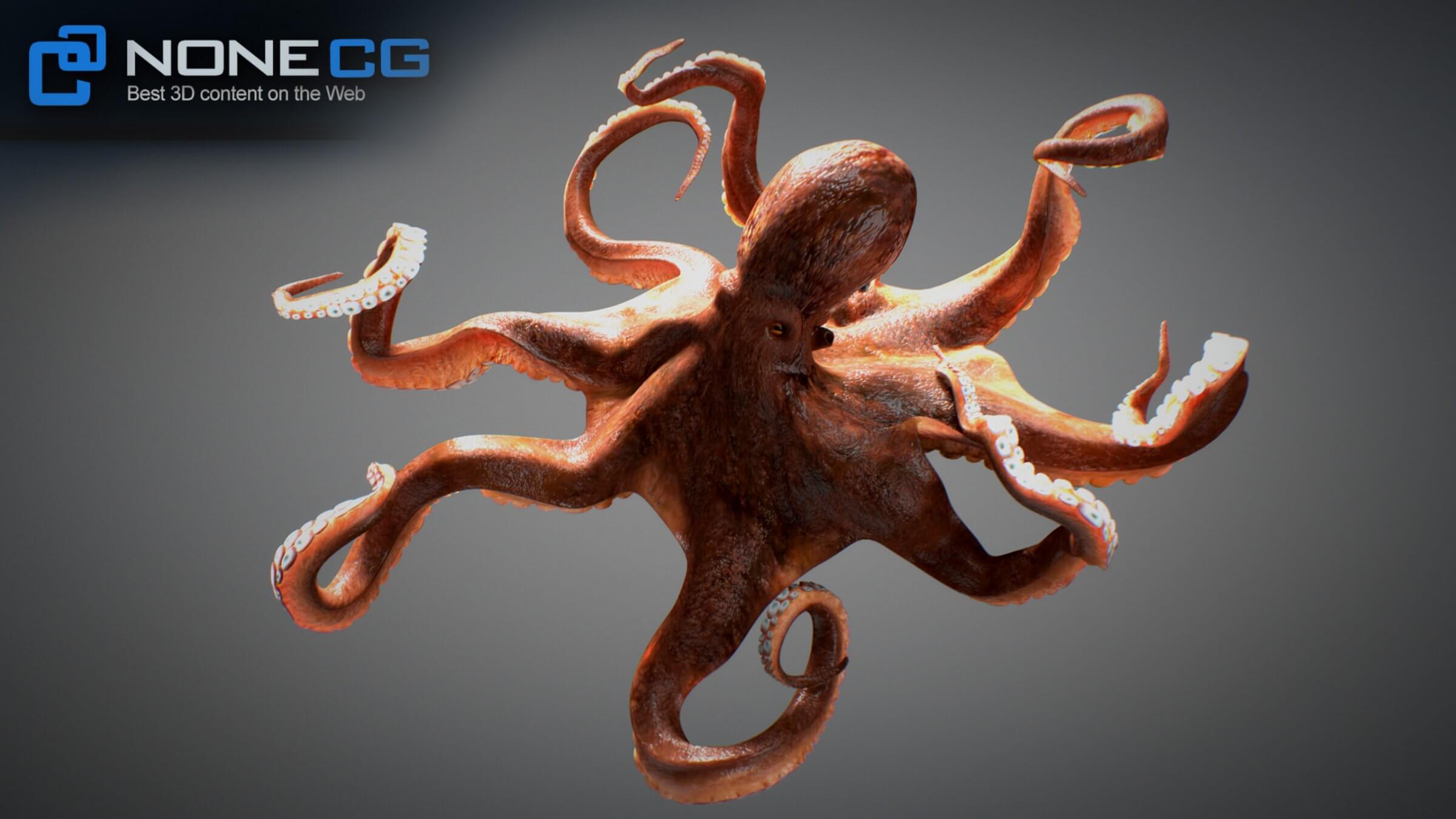 Animated Octopus V2 - 3D Model by NoneCG