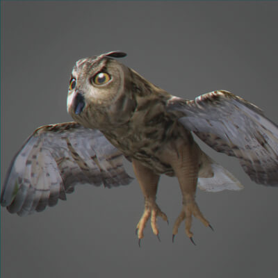 Animated Owl - 3D Model by NoneCG