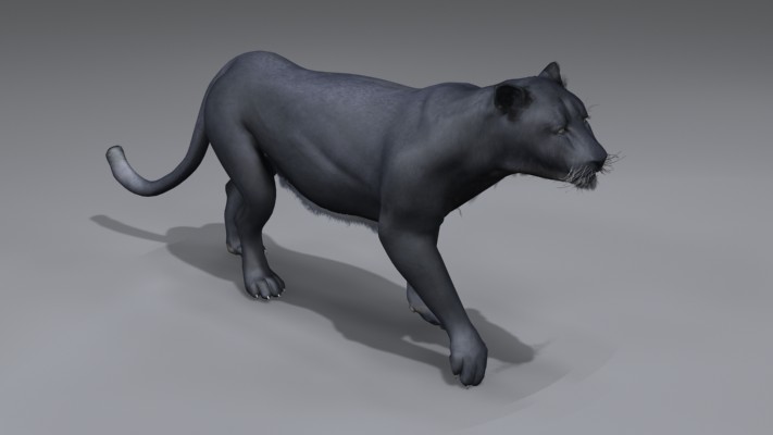 Animated Panther - 3D Model by NoneCG