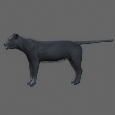 Animated Panther - 3D Model by NoneCG