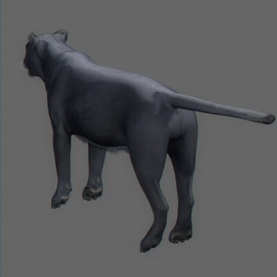 Animated Panther - 3D Model by NoneCG