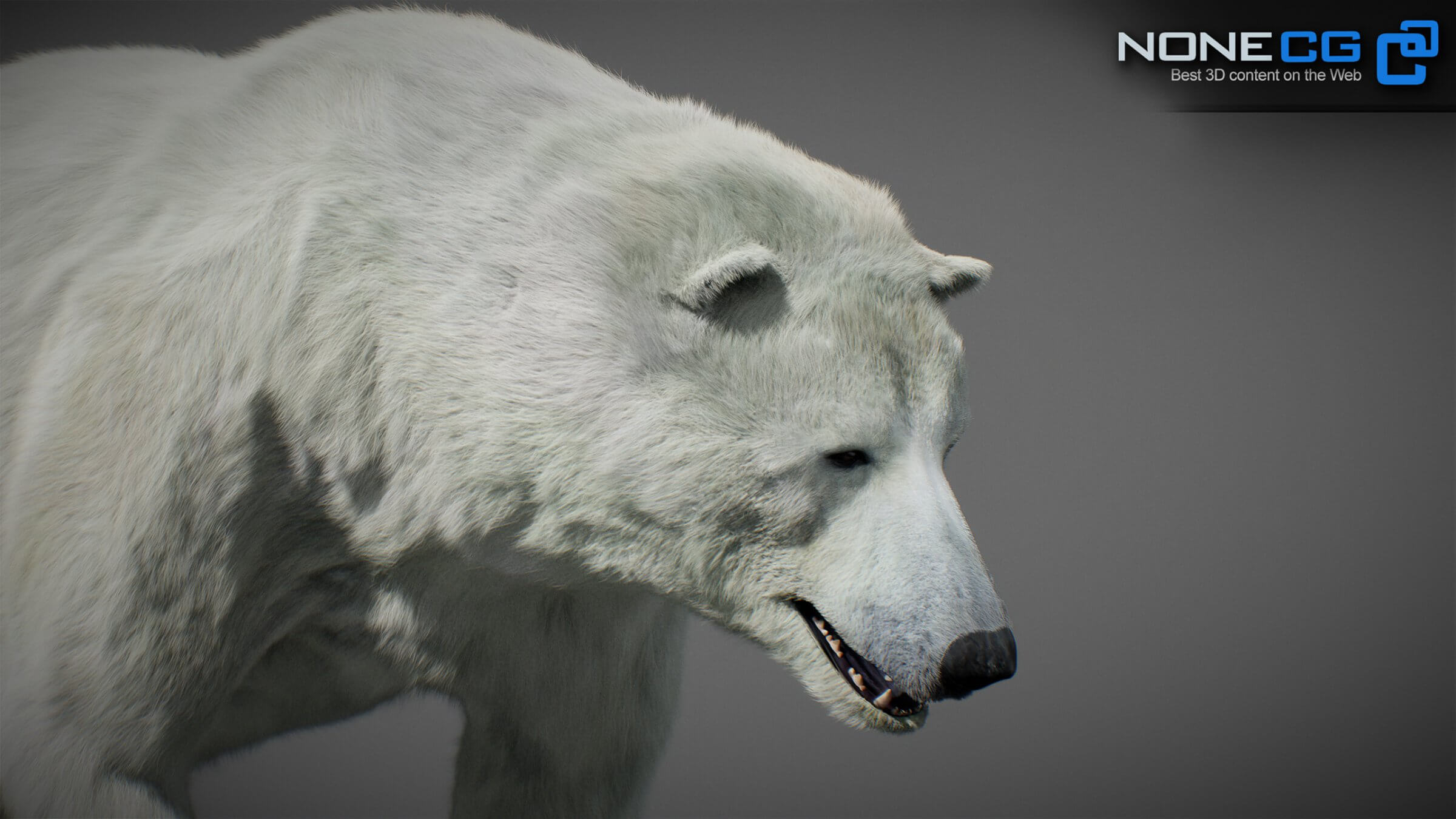 Animated Polar Bear - 3D Model by NoneCG