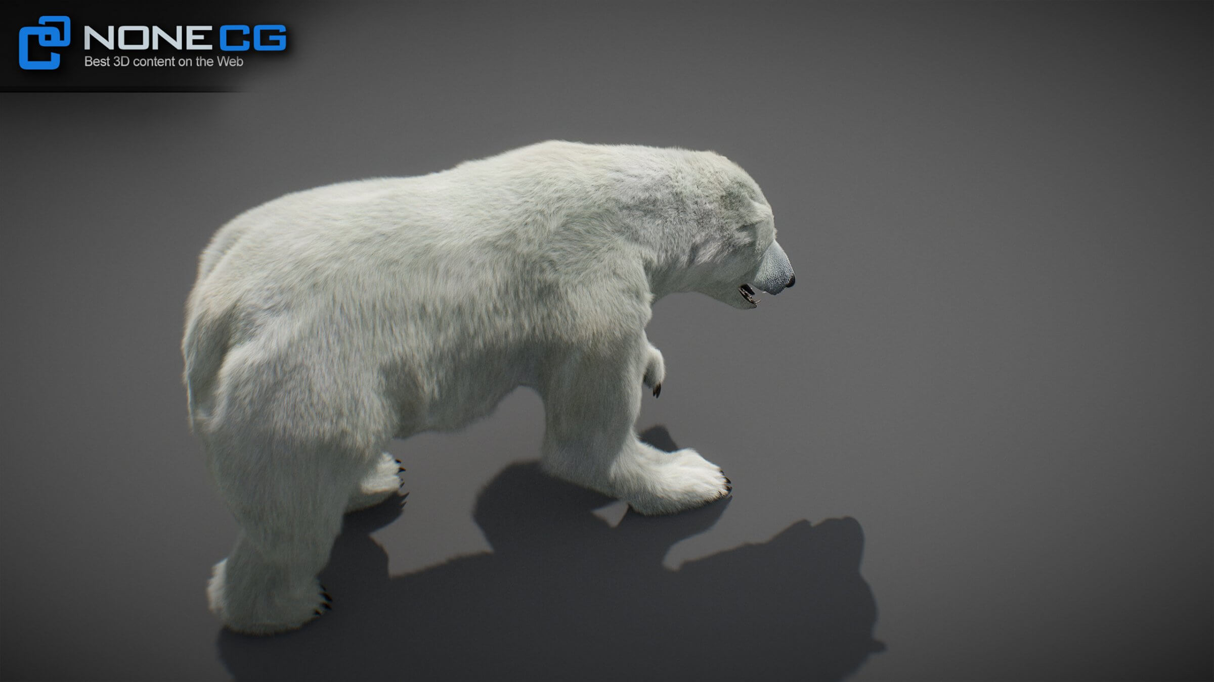 Animated Polar Bear - 3D Model by NoneCG