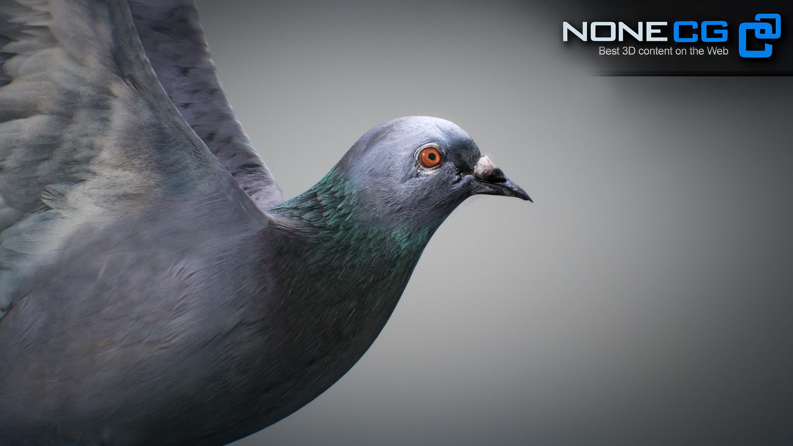 Animated Doves by NoneCG