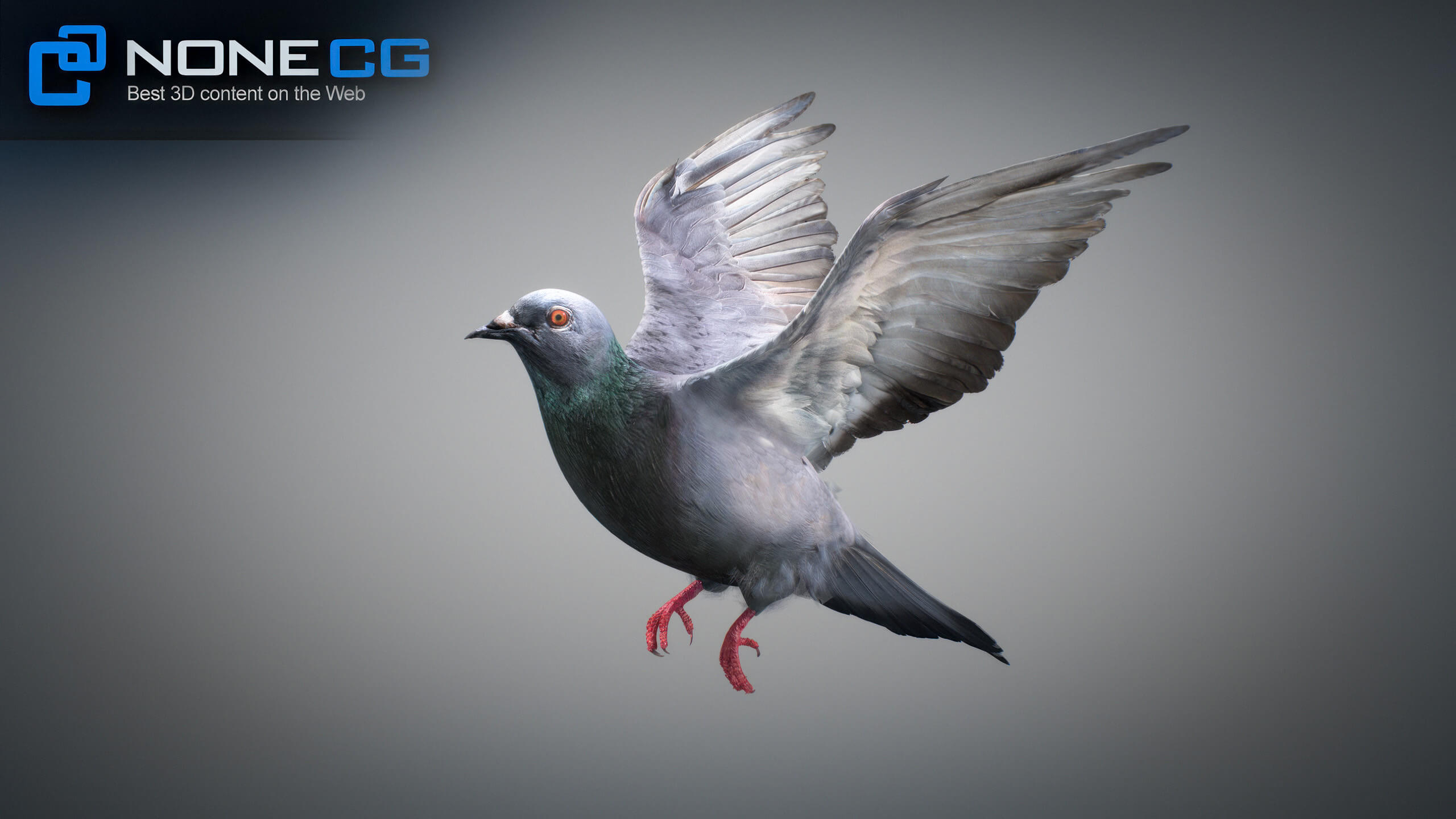 Animated Doves by NoneCG