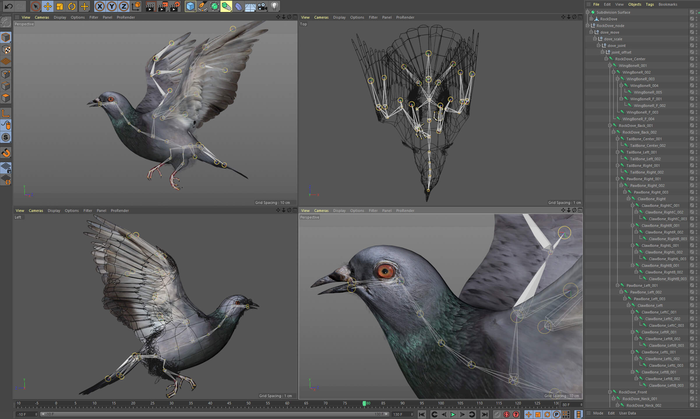 Animated Doves by NoneCG