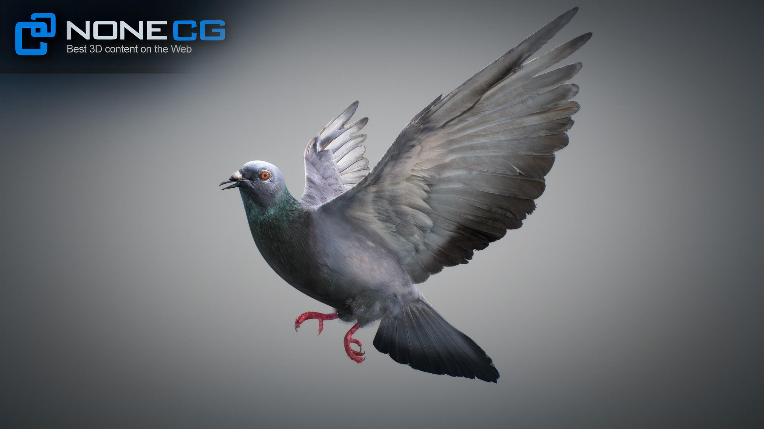 Animated Doves by NoneCG