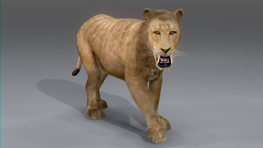 Animated SabreTooth - 3D Model by NoneCG