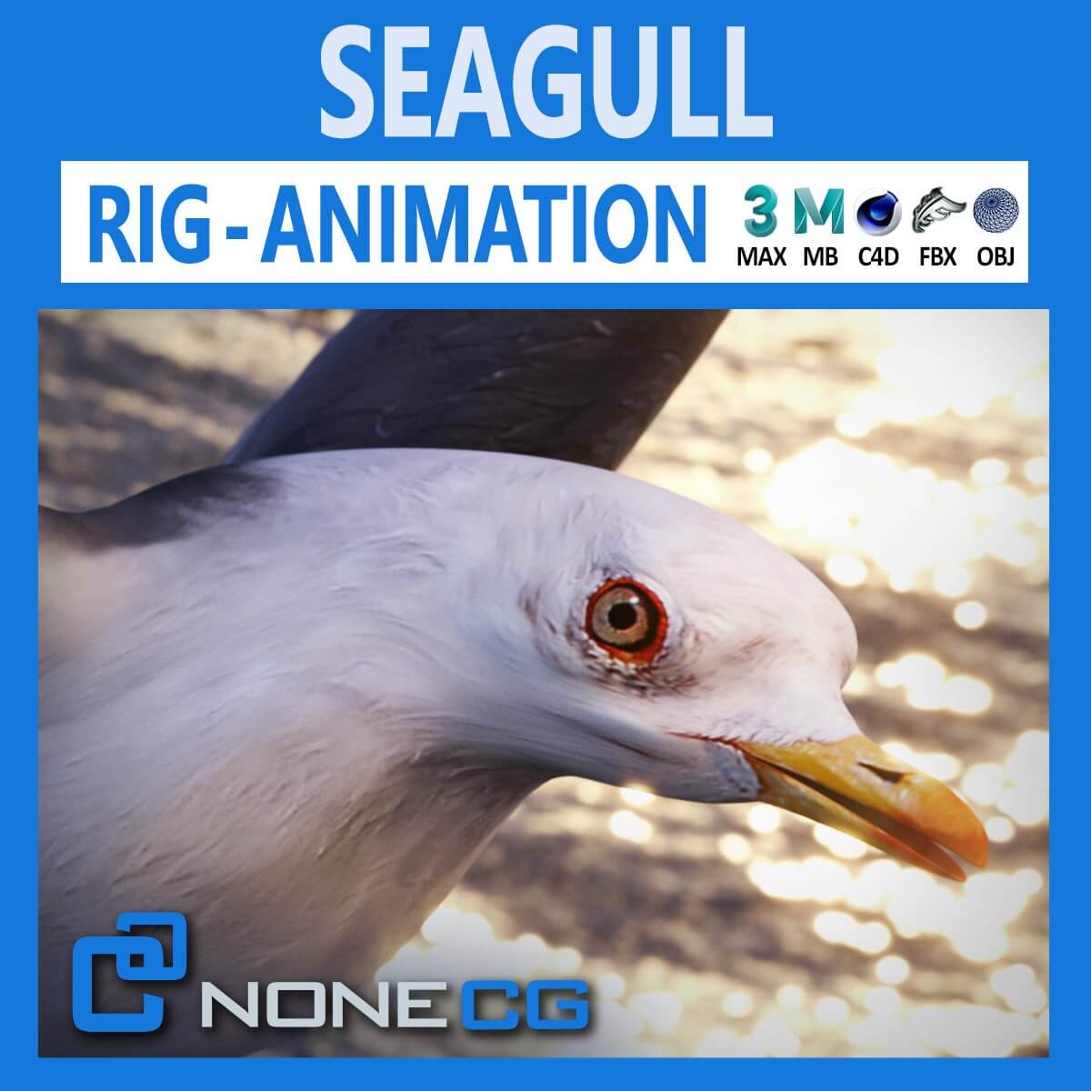 Animated Seagull 3D Model