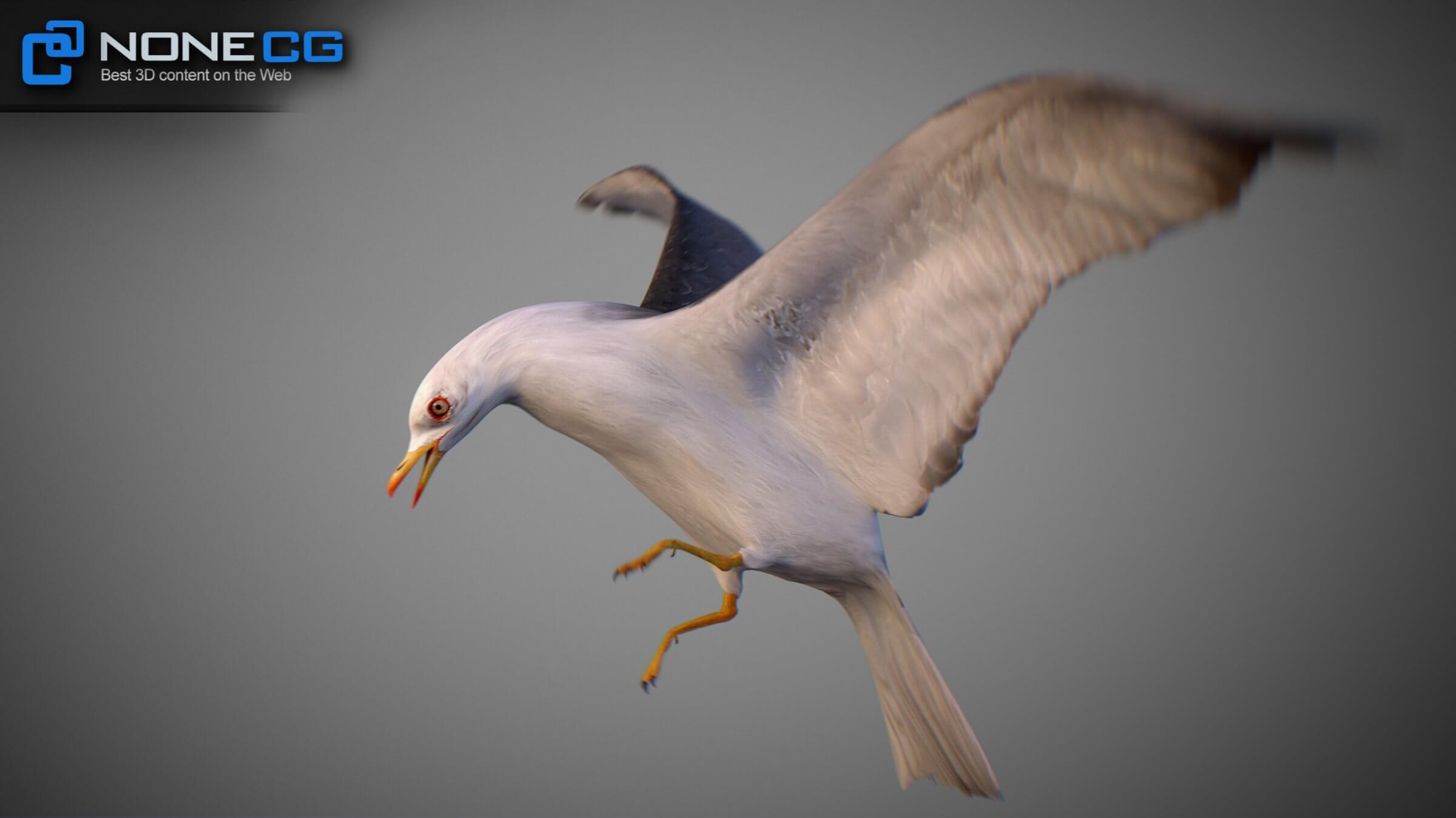 Animated Seagull - 3D Model by NoneCG