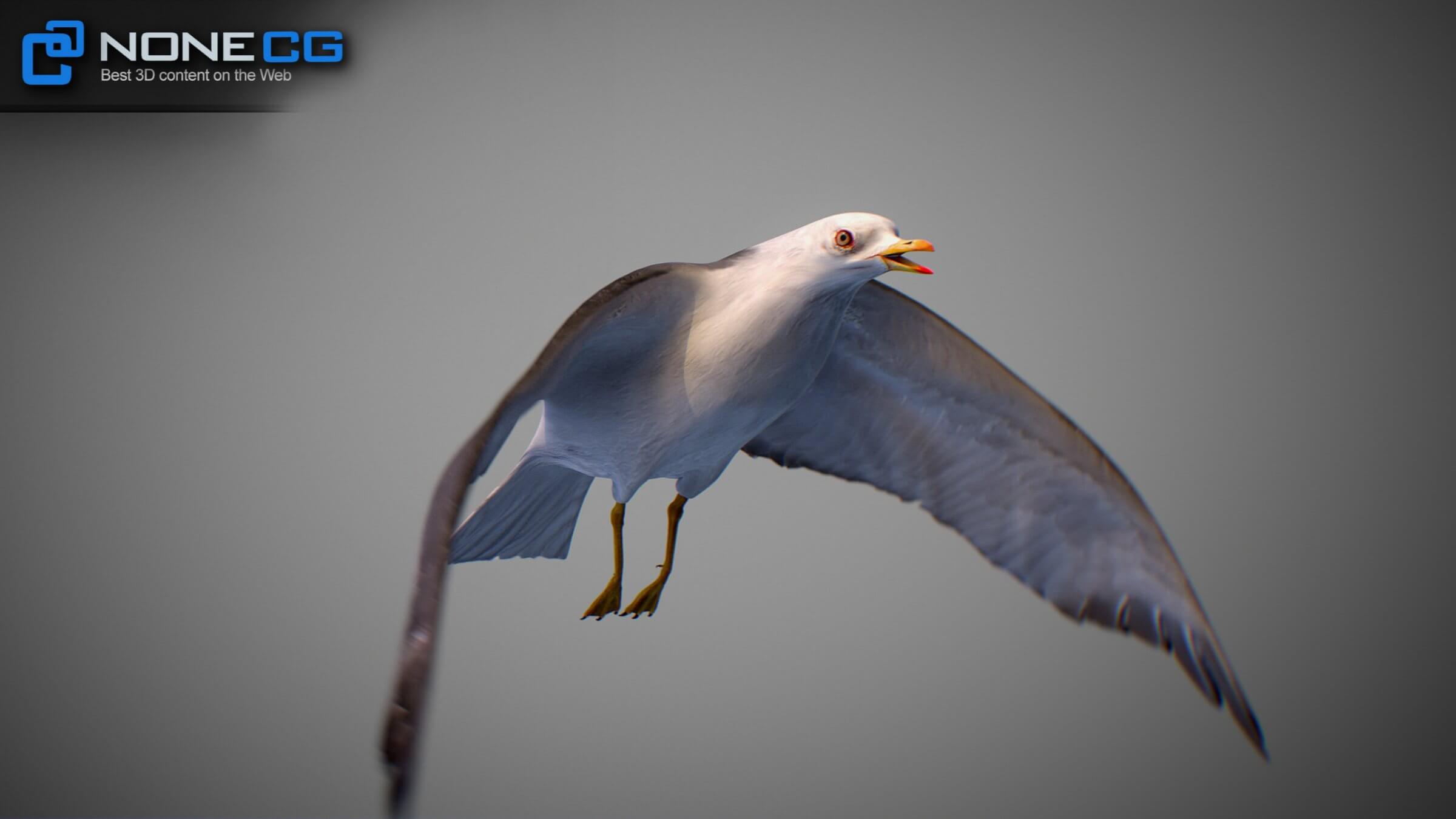 Animated Seagull - 3D Model by NoneCG