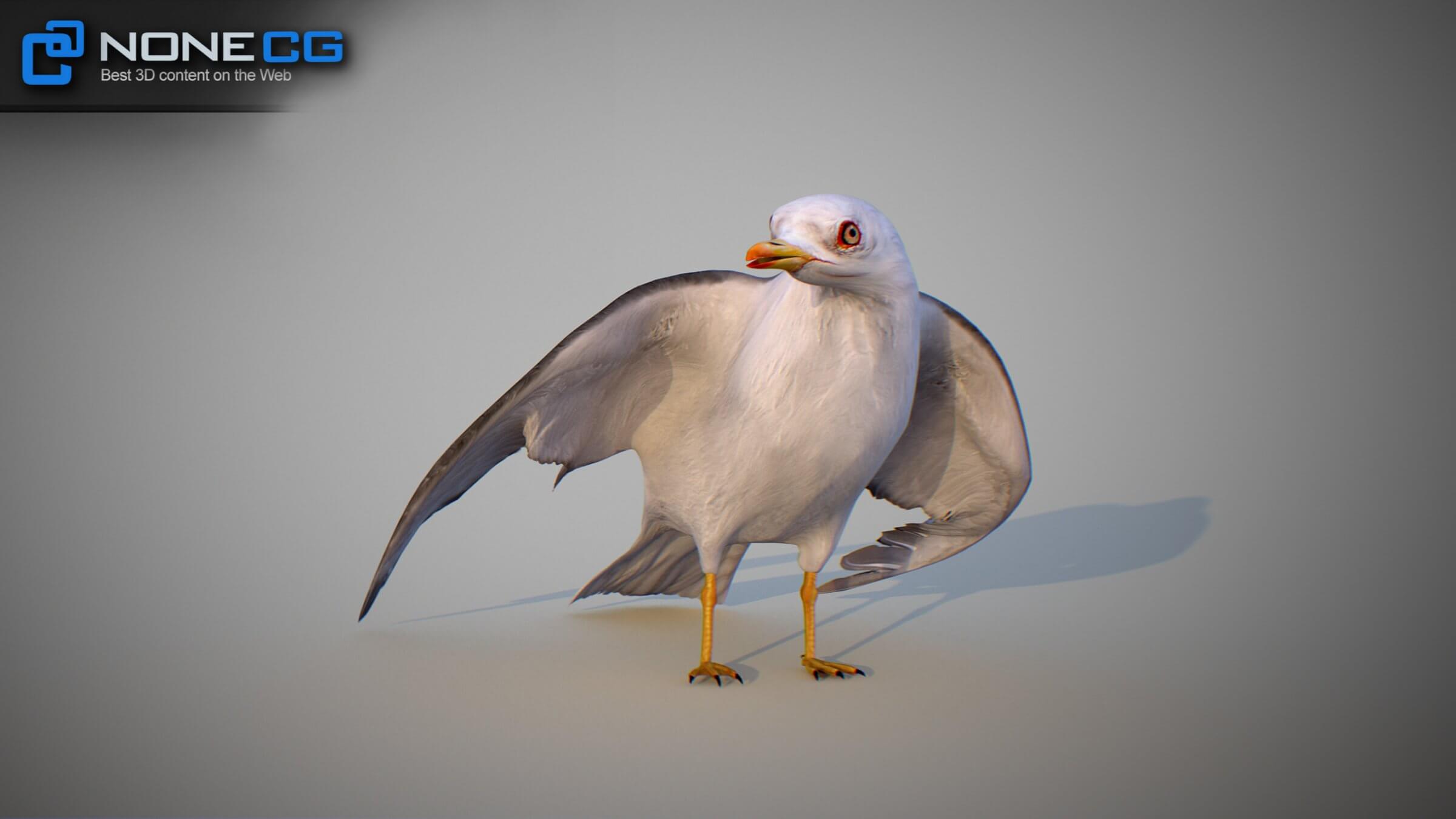 Animated Seagull - 3D Model by NoneCG