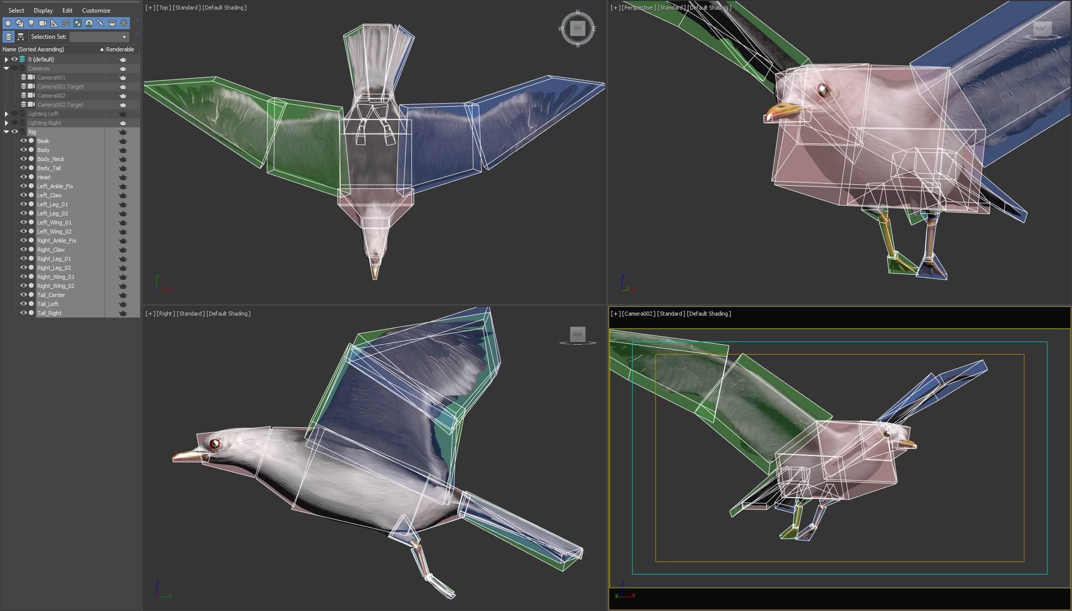 Animated Seagull - 3D Model by NoneCG