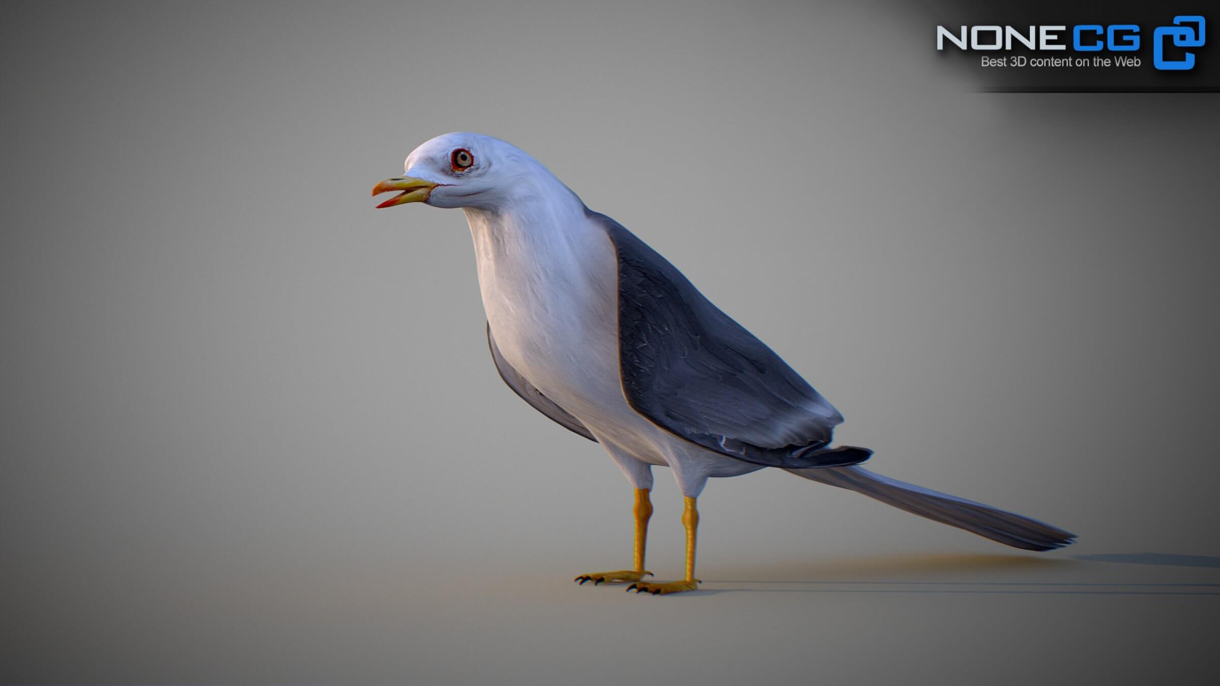 Animated Seagull - 3D Model by NoneCG