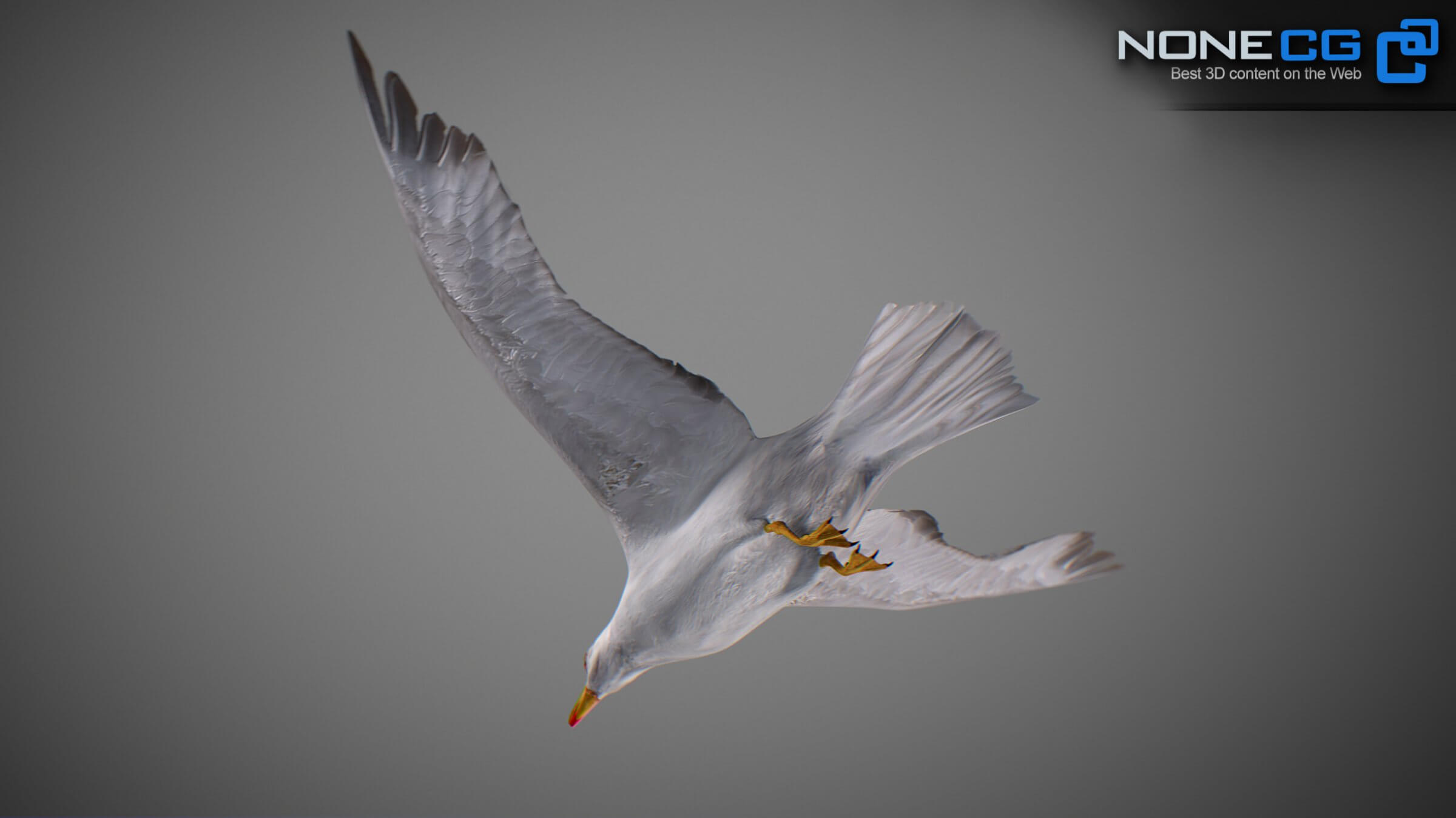 Animated Seagull - 3D Model by NoneCG