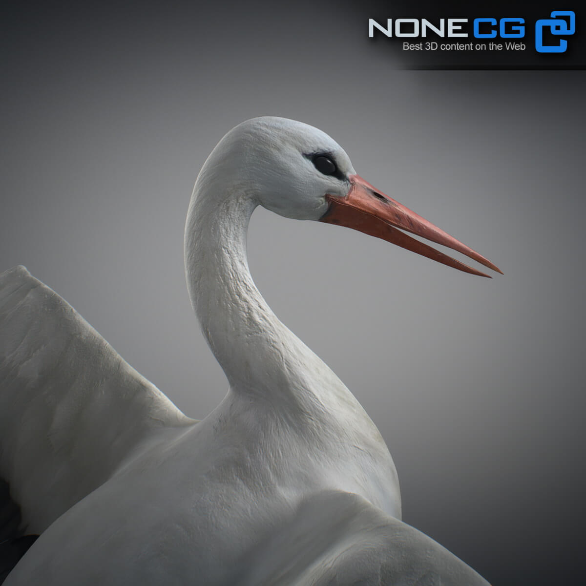 Animated Stork - 3D Model by NoneCG