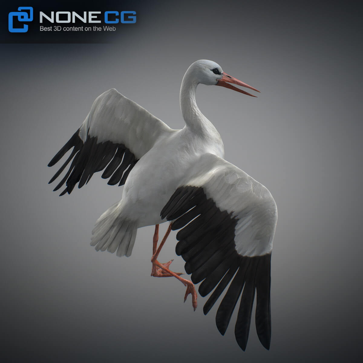 Animated Stork - 3D Model by NoneCG