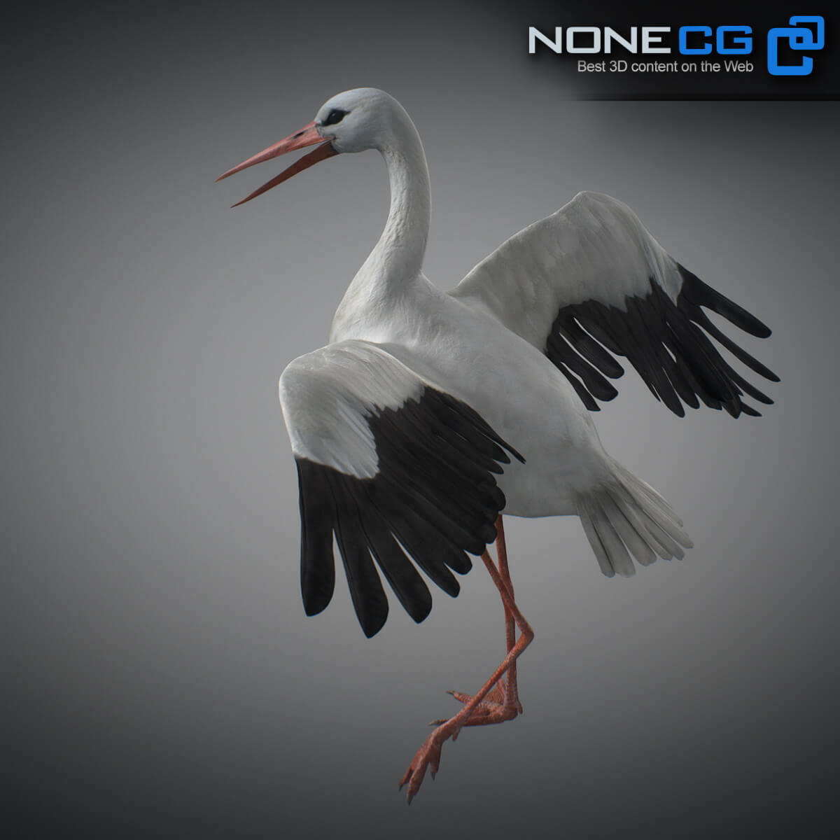 Animated Stork - 3D Model by NoneCG