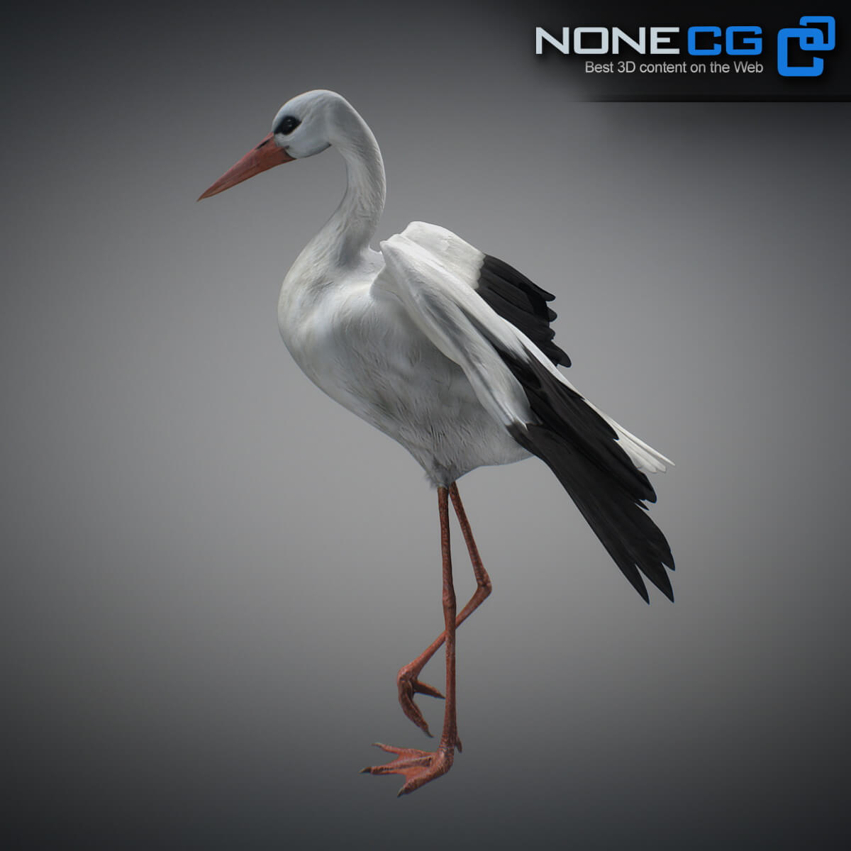 Animated Stork - 3D Model by NoneCG