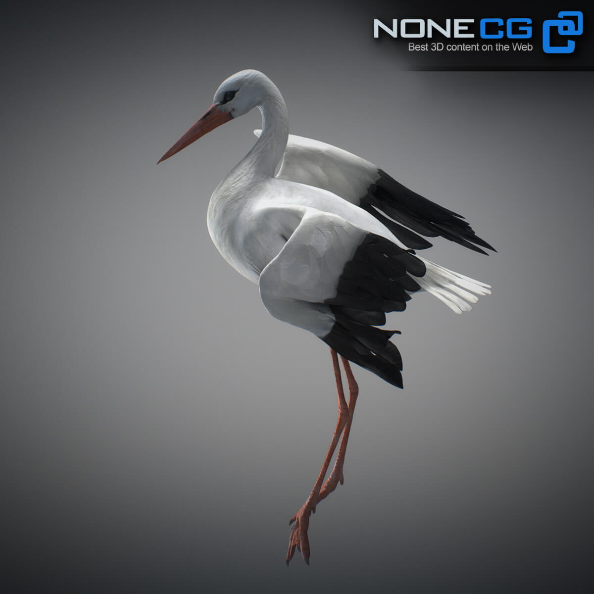 Animated Stork - 3D Model by NoneCG