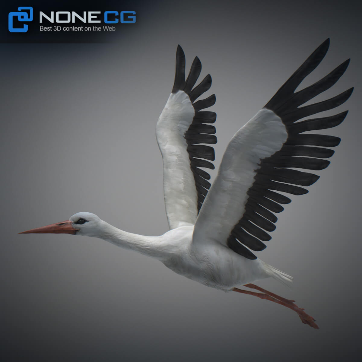 Animated Stork - 3D Model by NoneCG