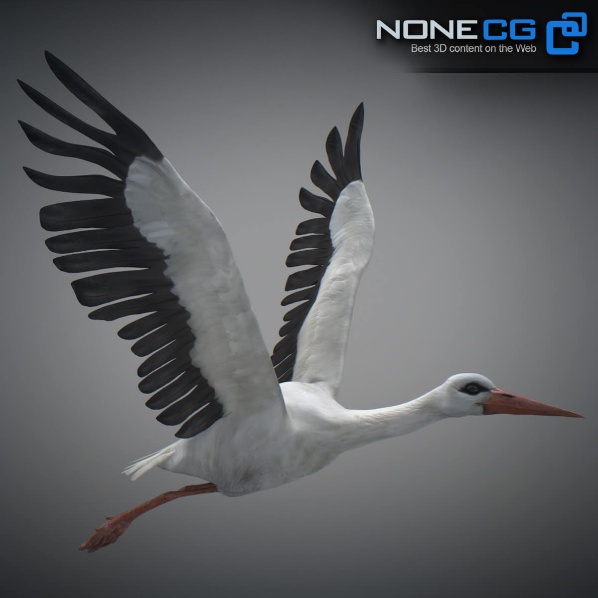 Animated Stork - 3D Model by NoneCG