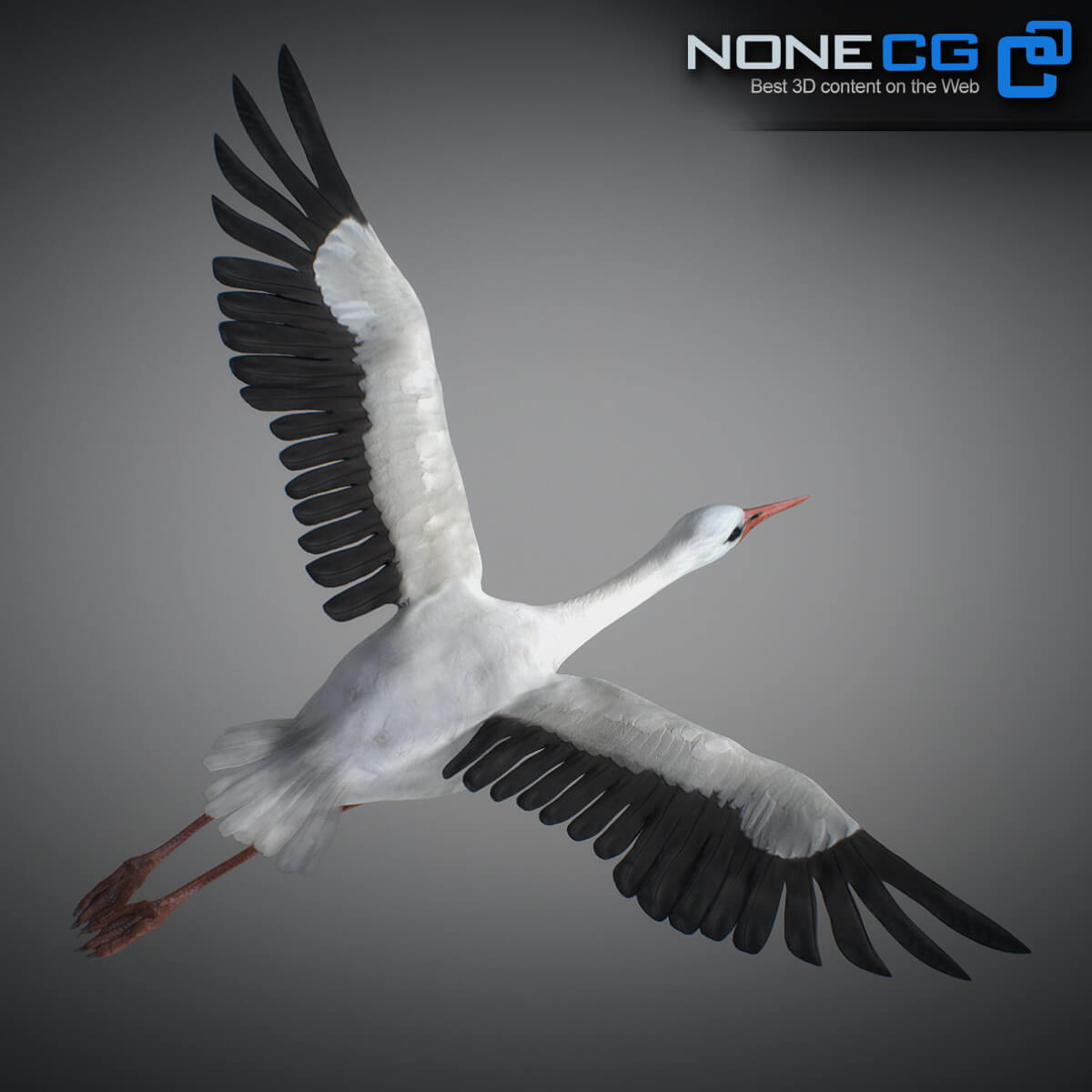 Animated Stork - 3D Model by NoneCG