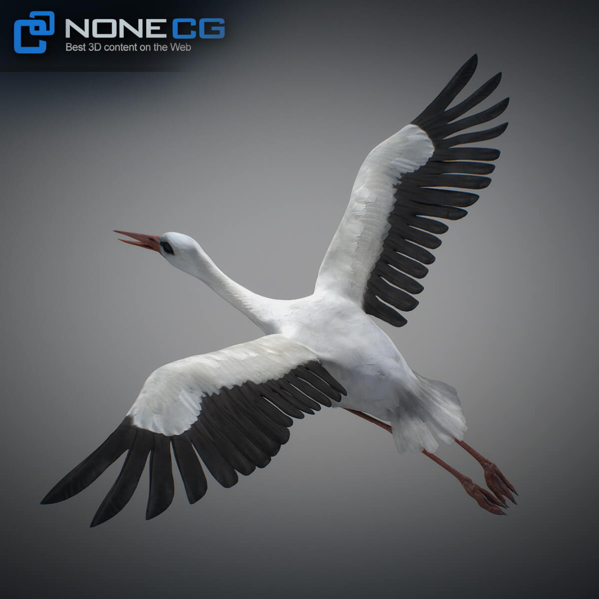 Animated Stork - 3D Model by NoneCG