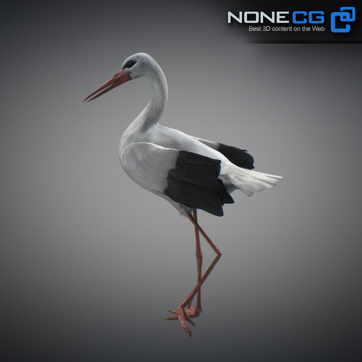 Animated Stork - 3D Model by NoneCG