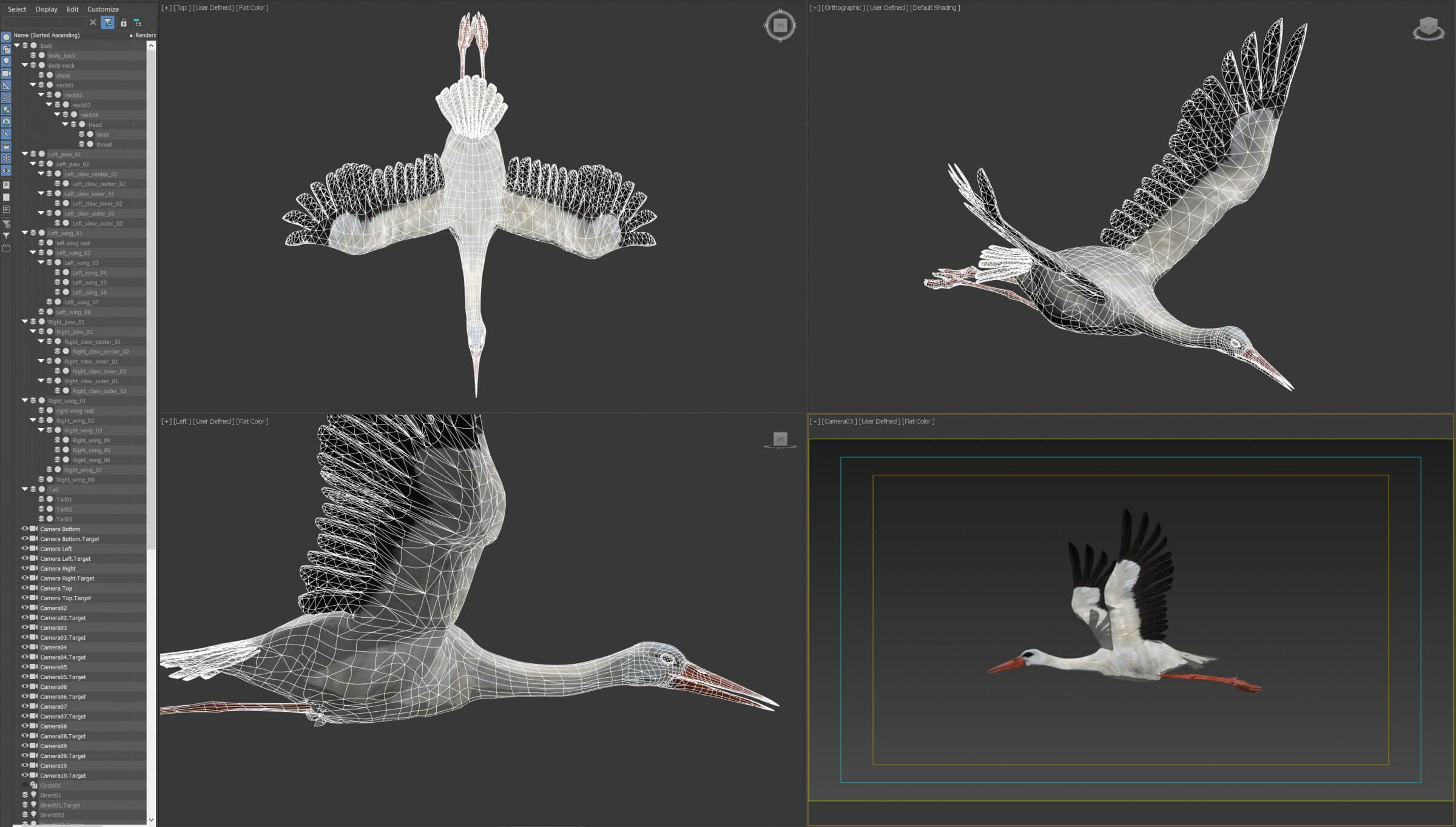 Animated Stork - 3D Model by NoneCG