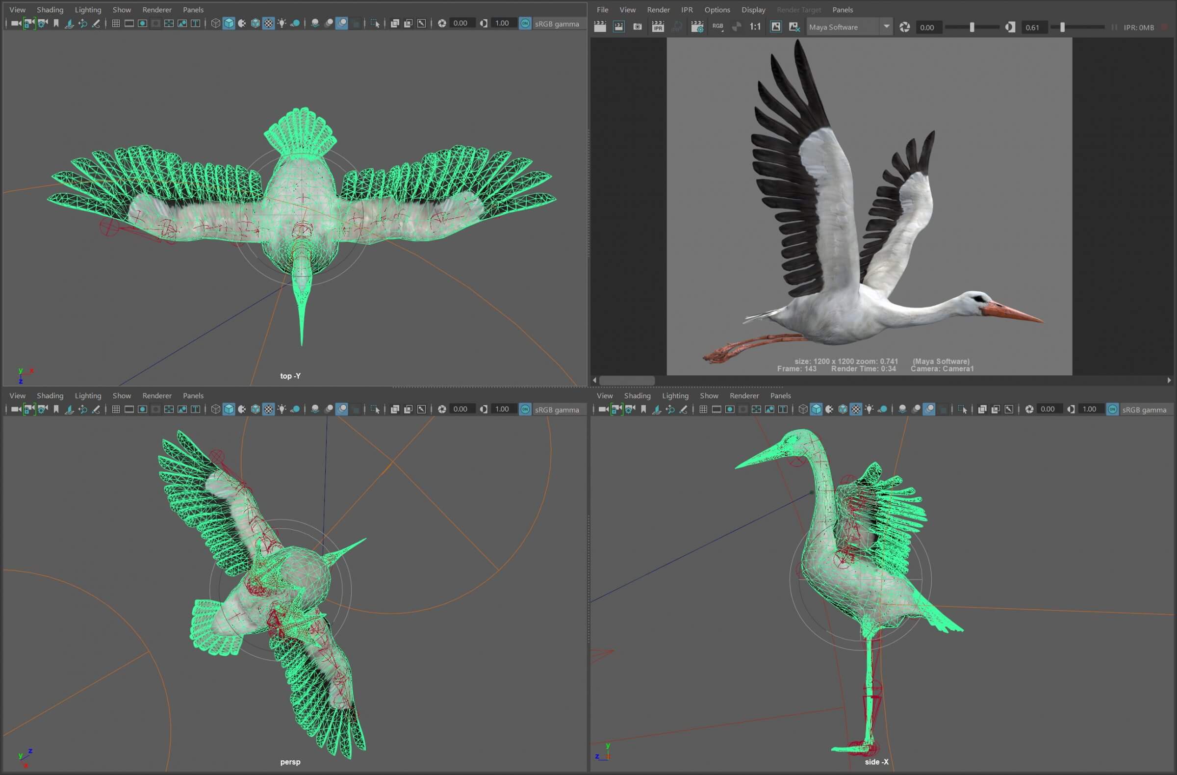 Animated Stork - 3D Model by NoneCG