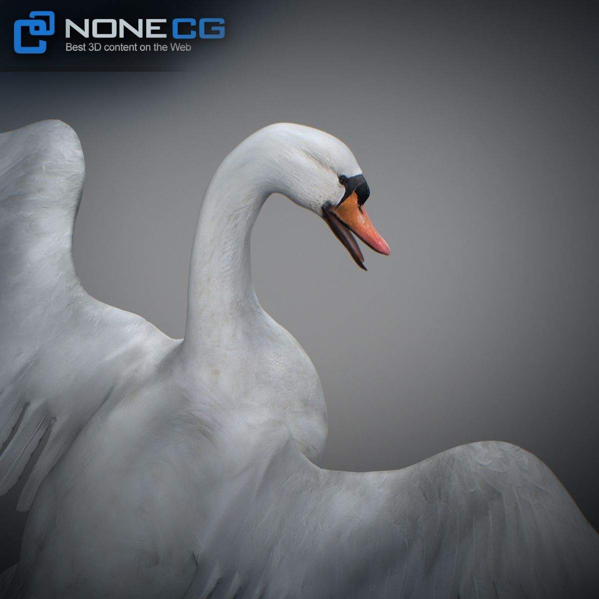Swan - 3D Model by NoneCG