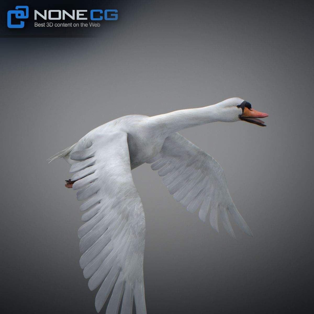 Swan - 3D Model by NoneCG