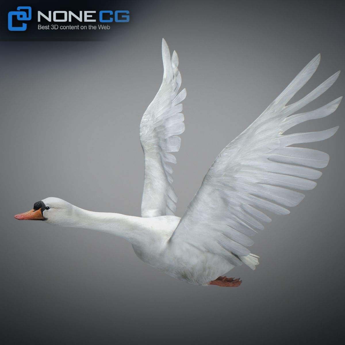 Swan - 3D Model by NoneCG