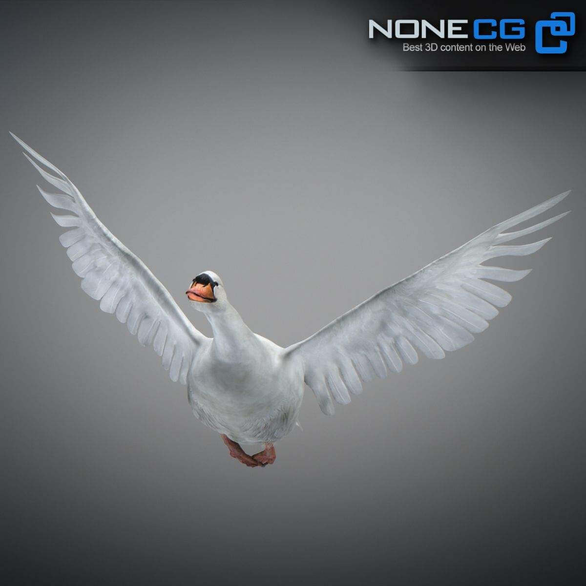 Swan - 3D Model by NoneCG
