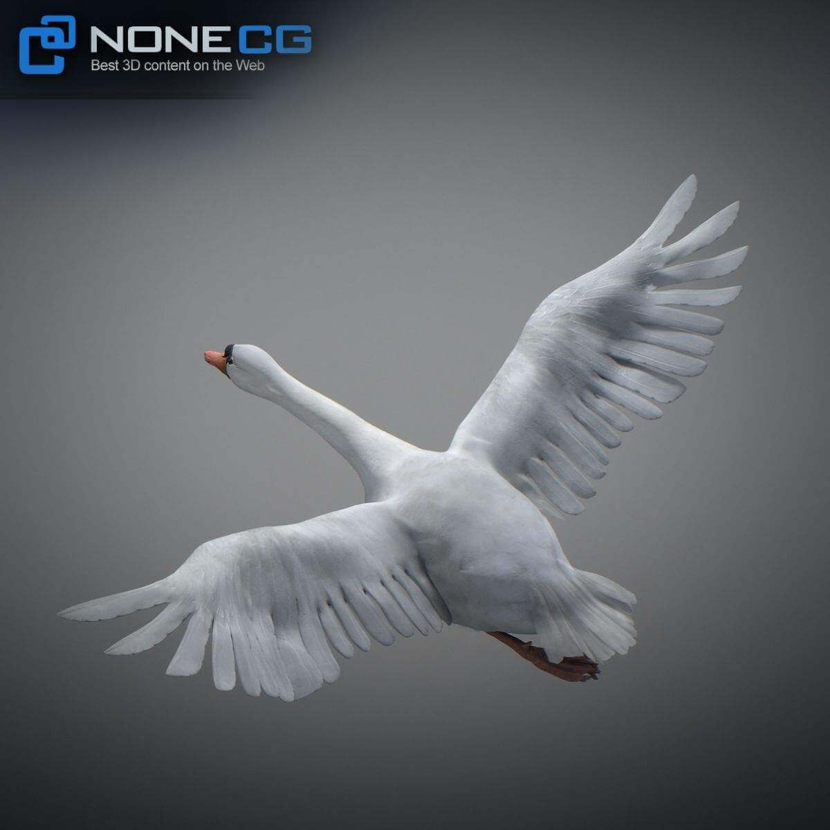 Swan - 3D Model by NoneCG
