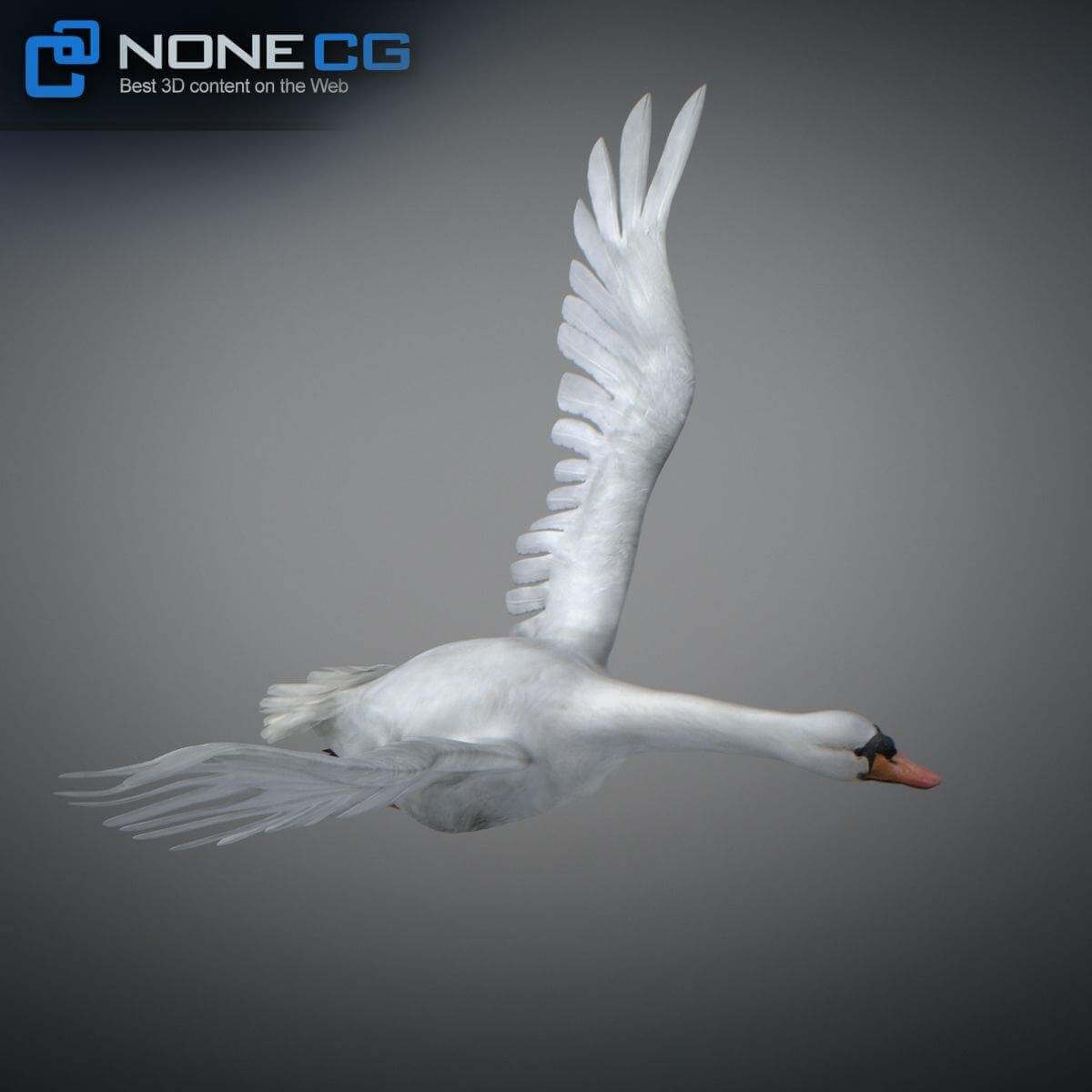 Swan - 3D Model by NoneCG