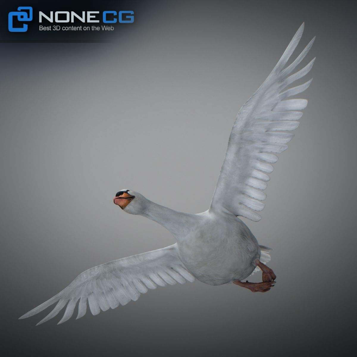 Swan - 3D Model by NoneCG