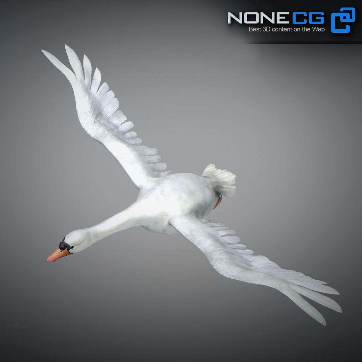 Swan - 3D Model by NoneCG