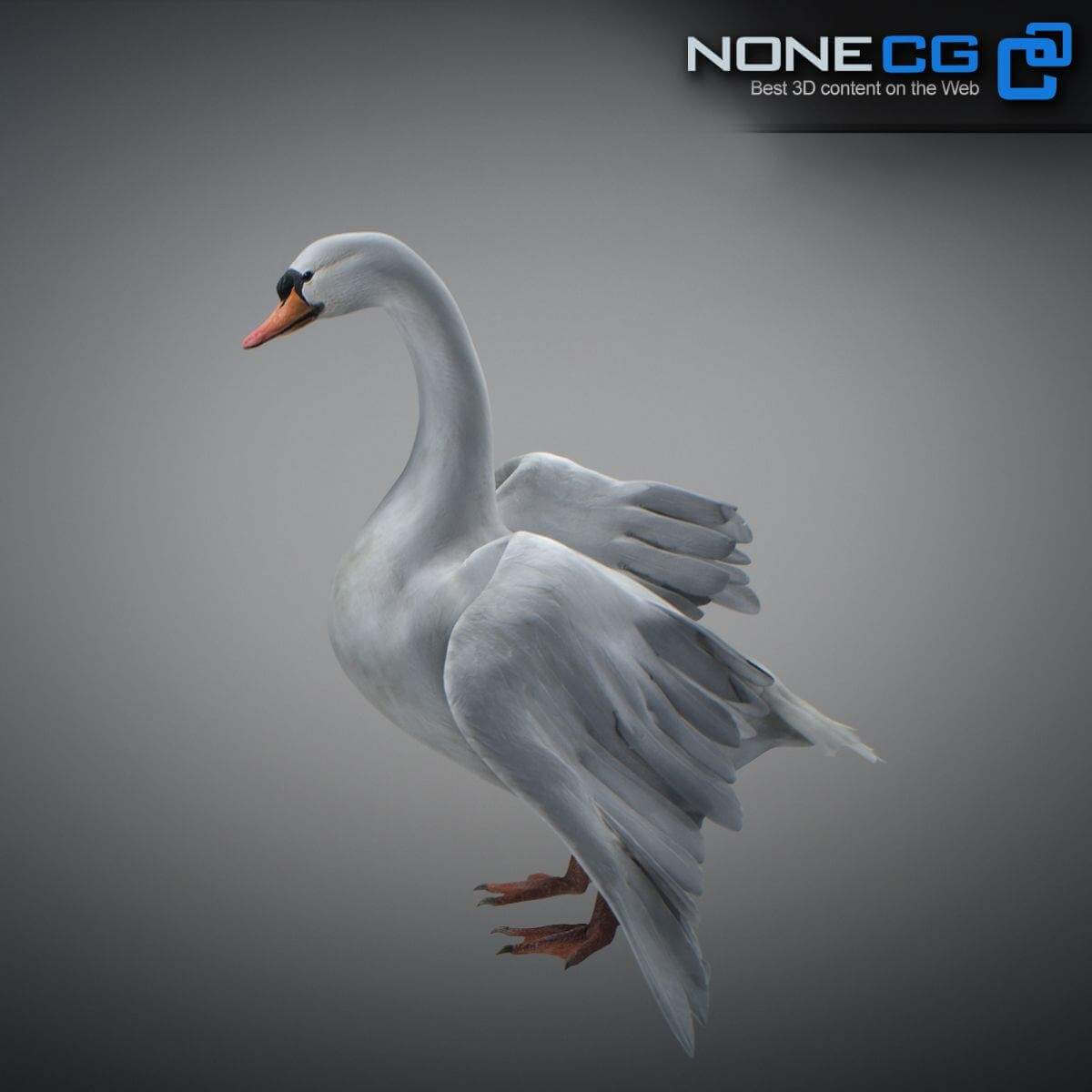 Swan - 3D Model by NoneCG