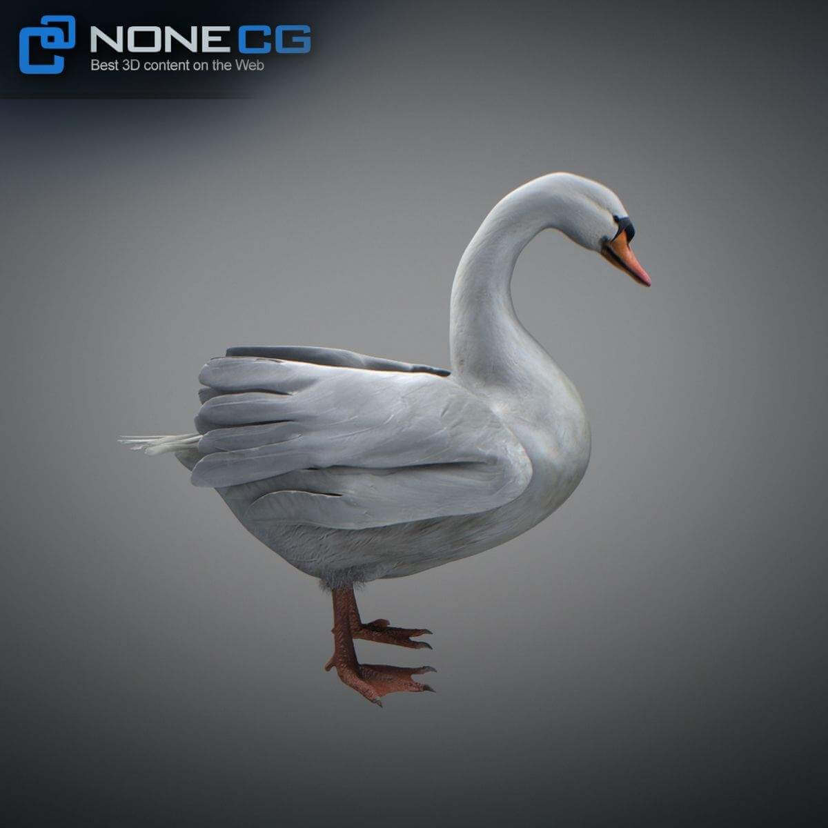 Swan - 3D Model by NoneCG