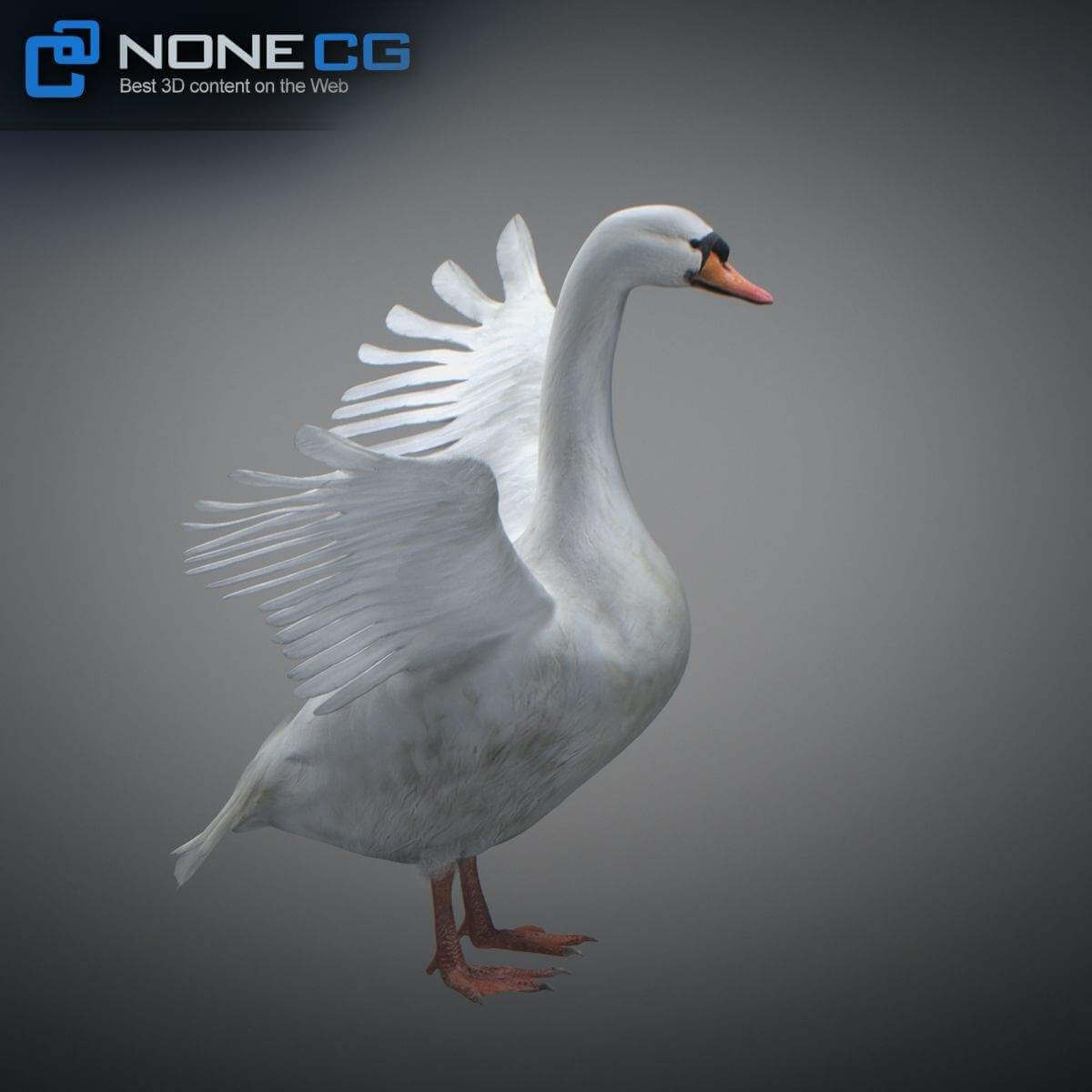 Swan - 3D Model by NoneCG