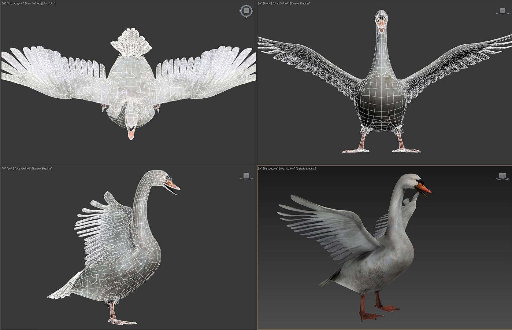 Swan - 3D Model by NoneCG