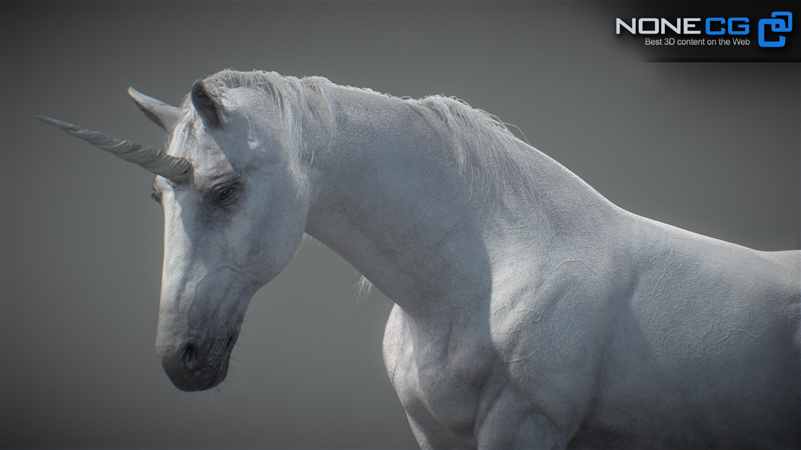 Animated Unicorn - 3D Model by NoneCG
