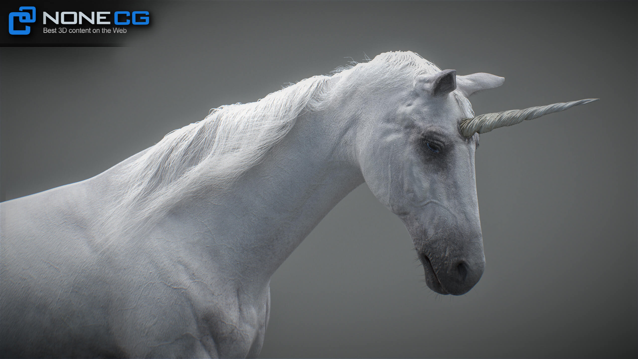 Animated Unicorn - 3D Model by NoneCG