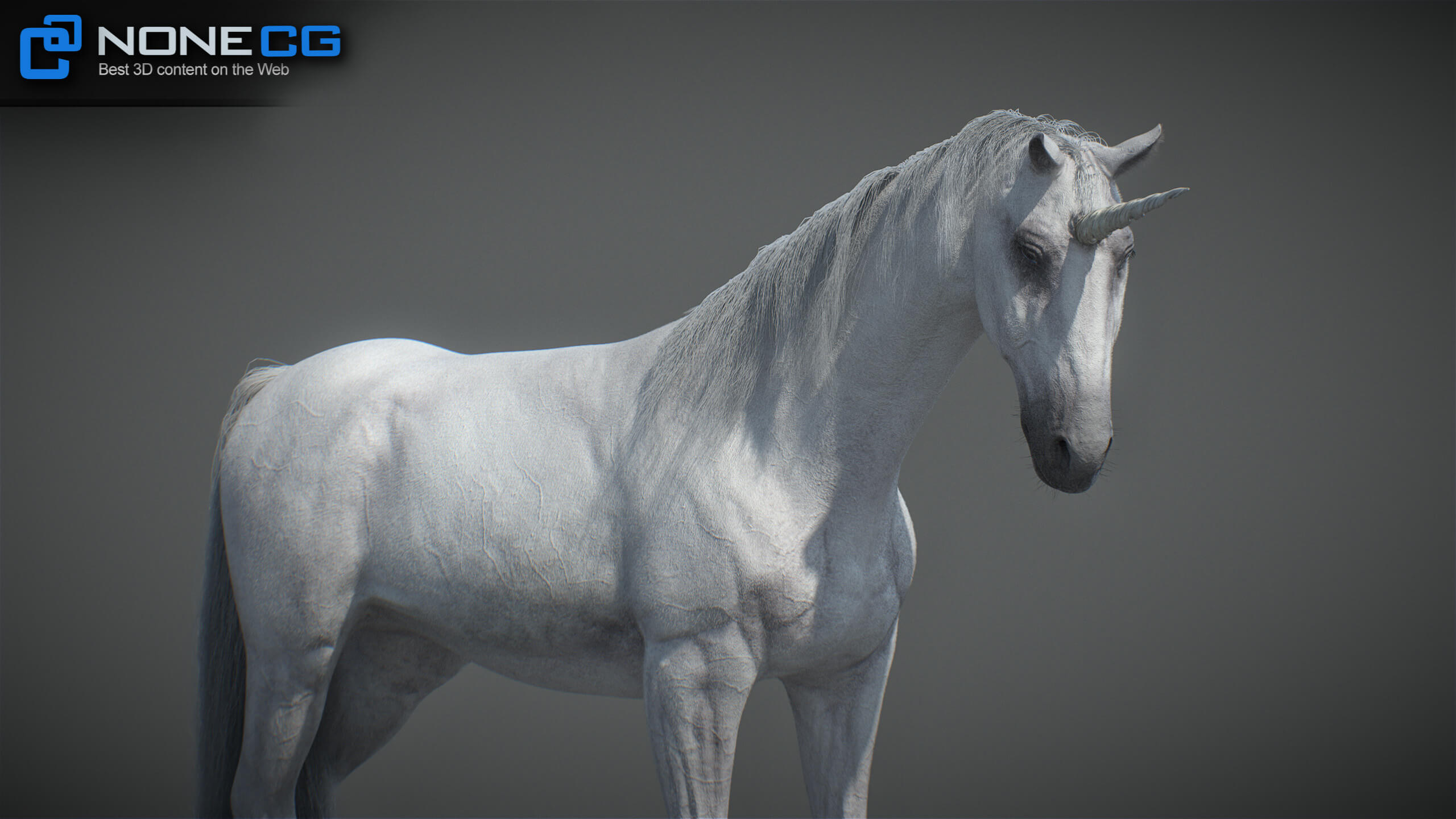 Animated Unicorn - 3D Model by NoneCG