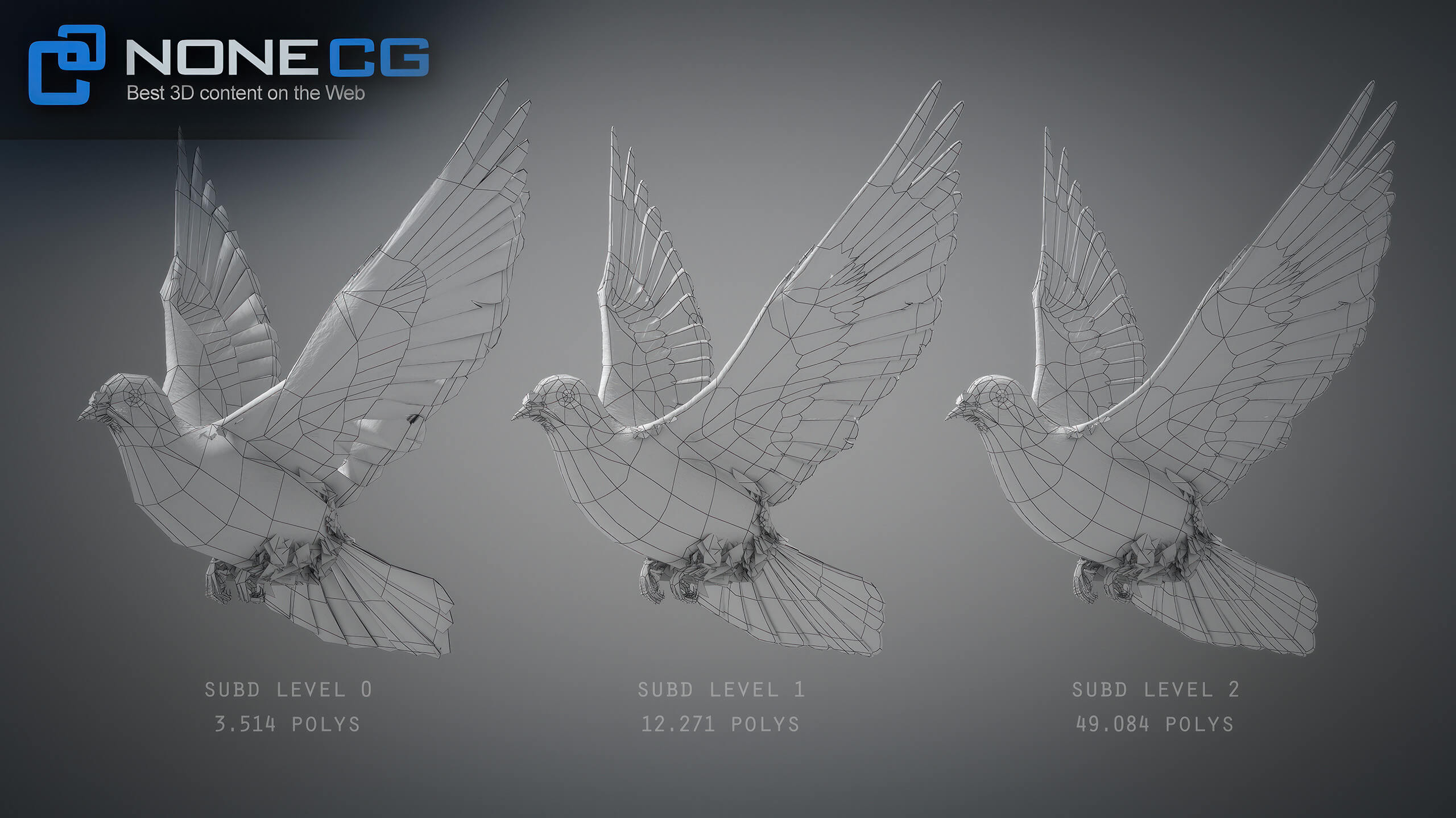 White Dove Animated - 3D Model by NoneCG