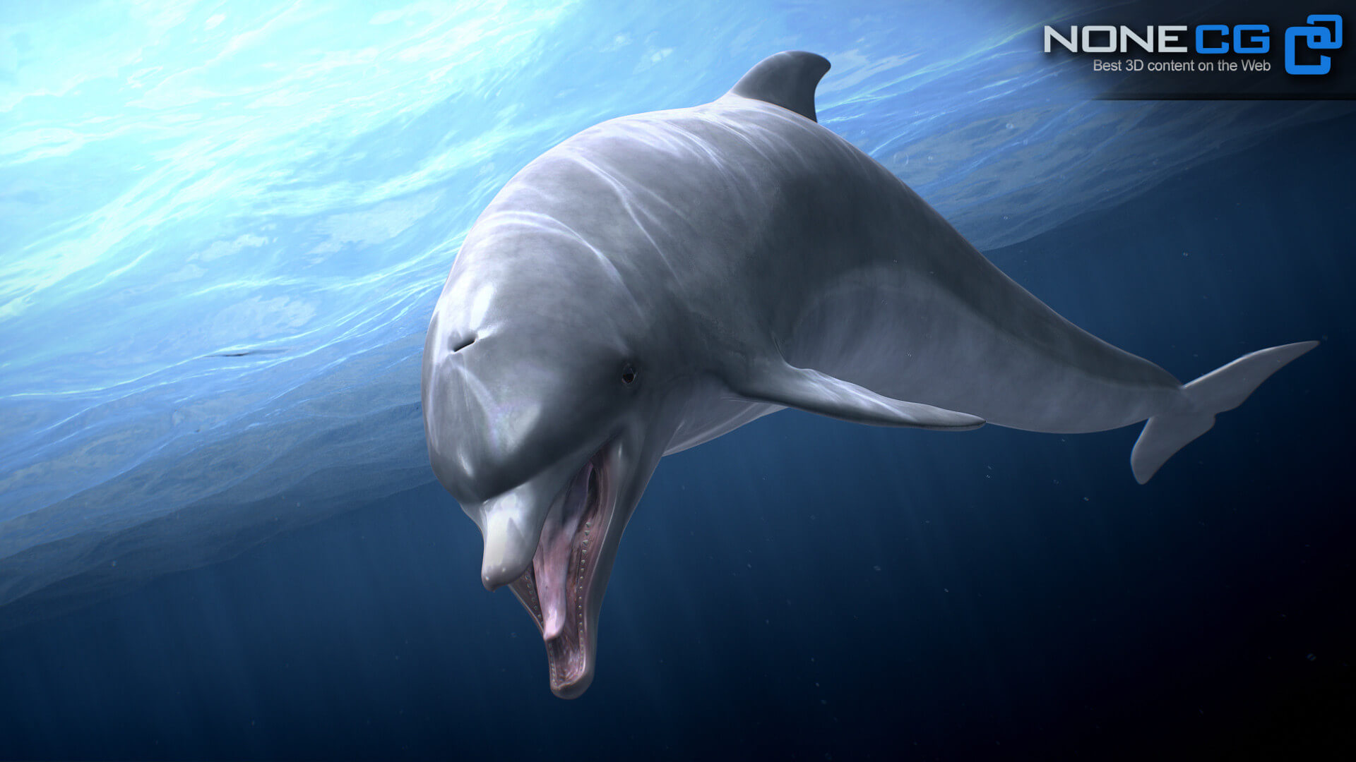 3D Animated Dolphin 3D Render, Digital Art by NoneCG