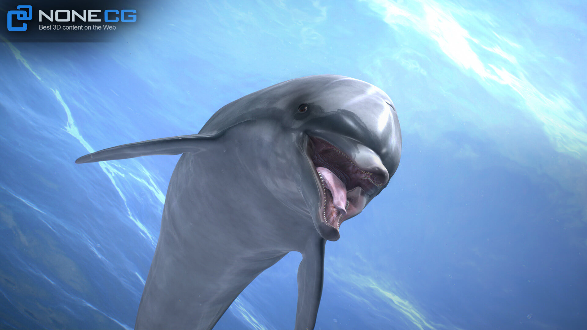 3D Animated dolphin 3D Render, Digital Art by NoneCG