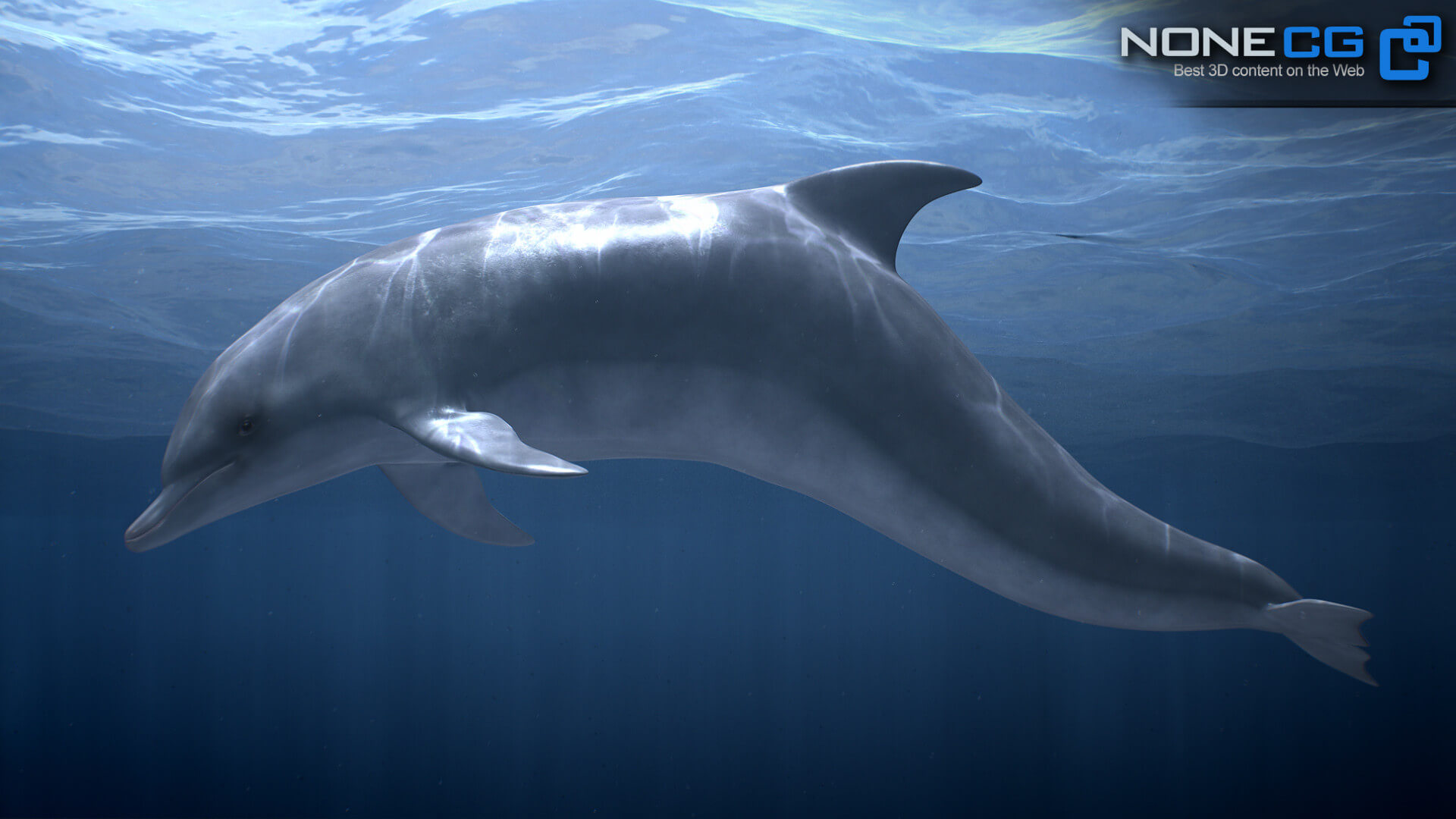 3D Animated Dolphin 3D Render, Digital Art by NoneCG